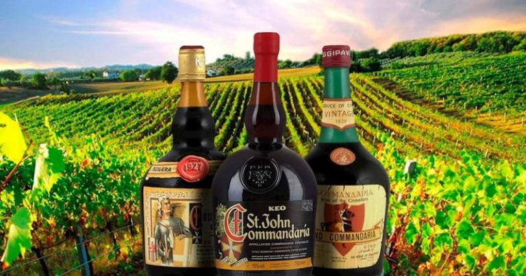 Top 10 dòng rượu Brandy ngon nổi tiếng nhất trên thị trường