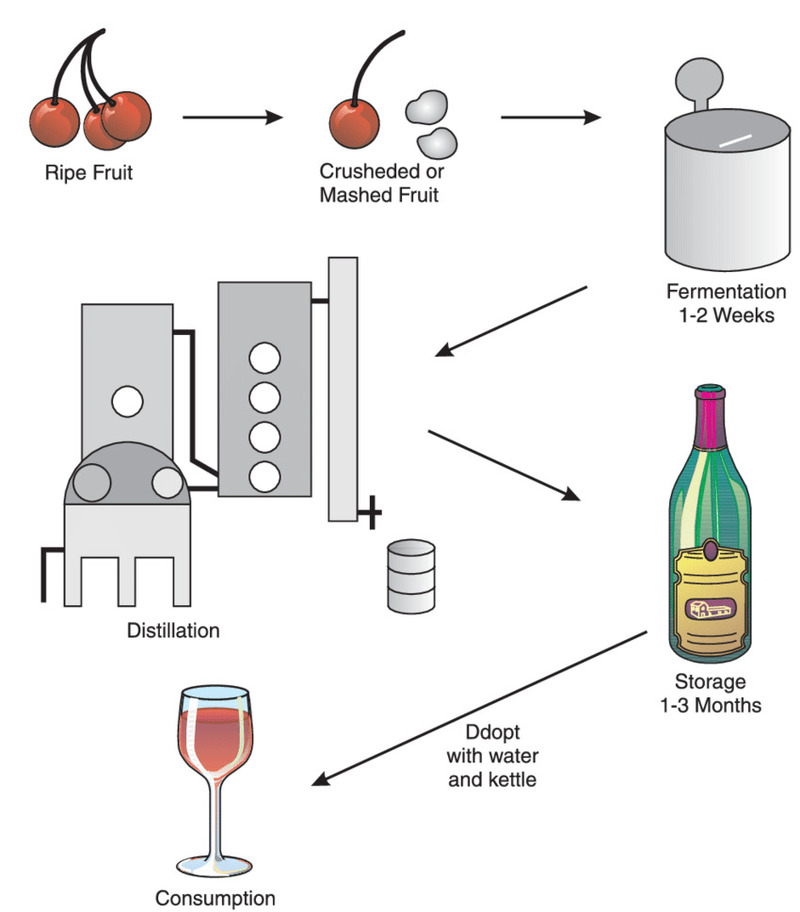 Rượu Brandy chính hãng 100% - Giá ưu đãi tốt nhất 2024