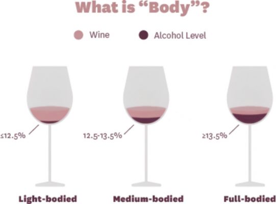 Wine Body là gì? Sự khác nhau giữa Light, Medium và Full-Bodied