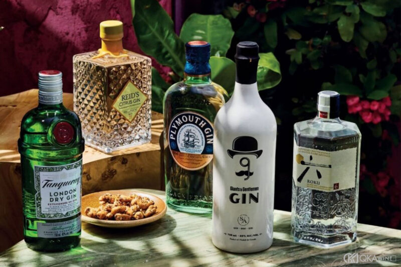 So sánh các phong cách Gin phổ biến: Đâu là lựa chọn phù hợp?